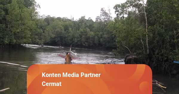 Seorang Warga di Halmahera Utara Hilang Saat Mencari Kerang di Sungai ... Seorang Warga di Halmahera Utara Hilang Saat Mencari Kerang di Sungai ...